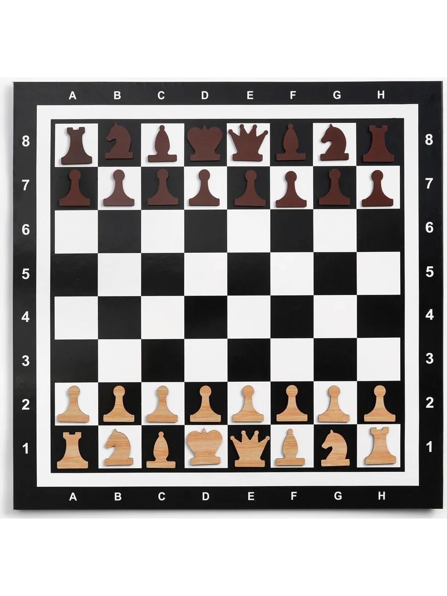 Демонстрационные шахматы на магнитной доске