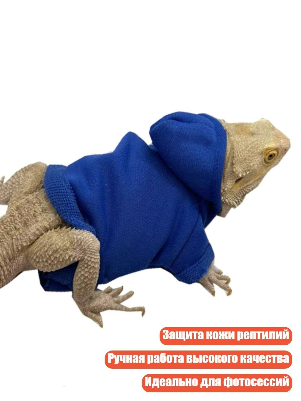 Одежда для ящериц, темно-синий