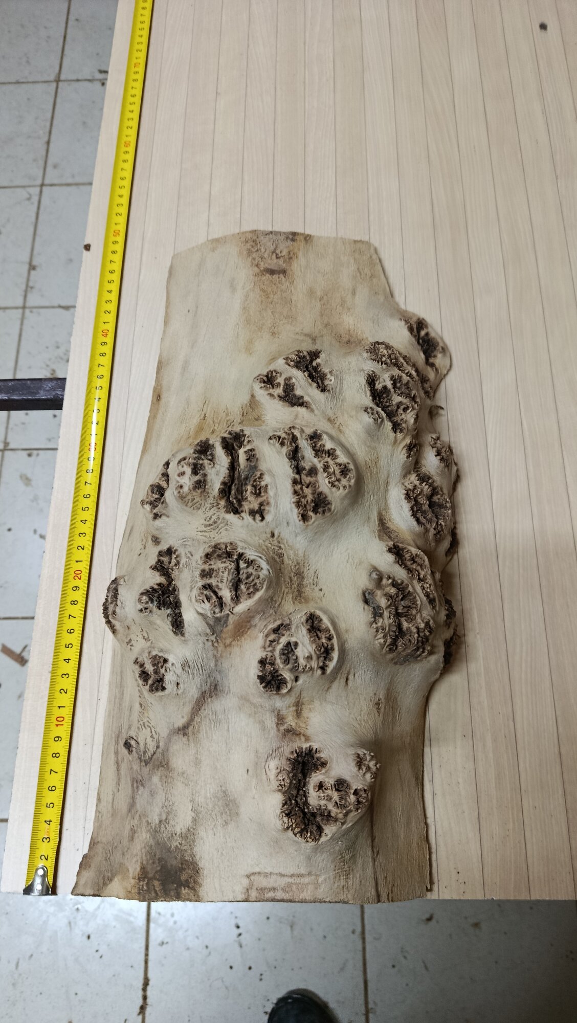 Спил из карагача, каповый, 45х2х4см(Е21)высушенный , влажность 8%