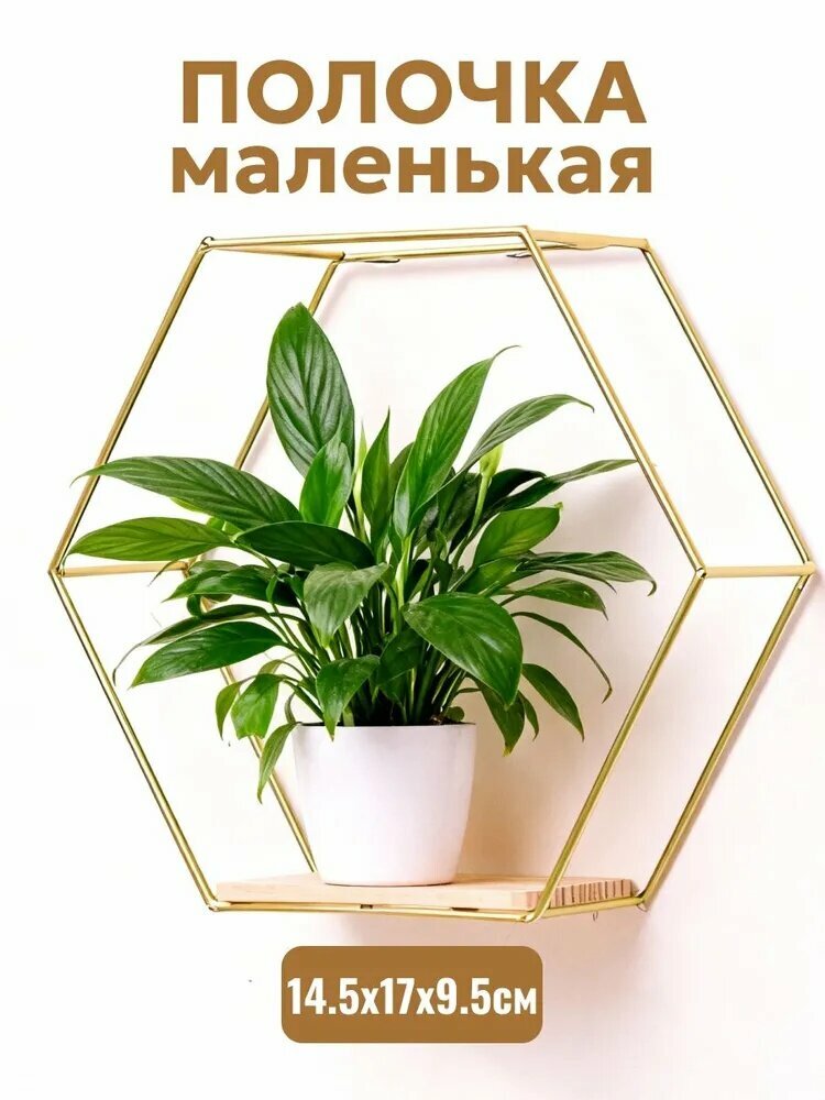 Полка интерьерная с крючками Настенная Прямая, 17х9.5х14.5 см, 1 шт.