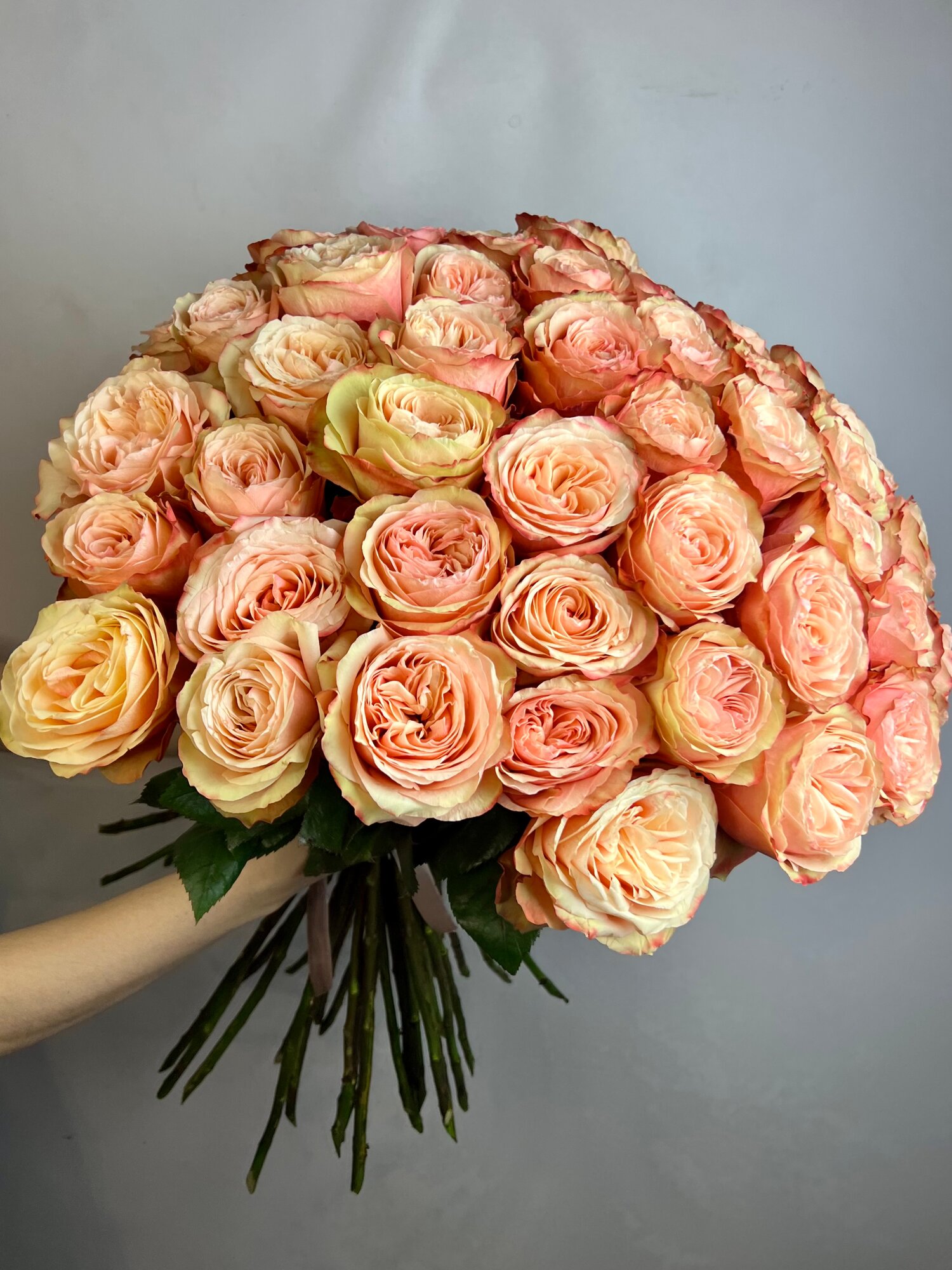 Яркий и романтичный монобукет из 51 пионовидной розы сорта Кахала в персиковом оттенке