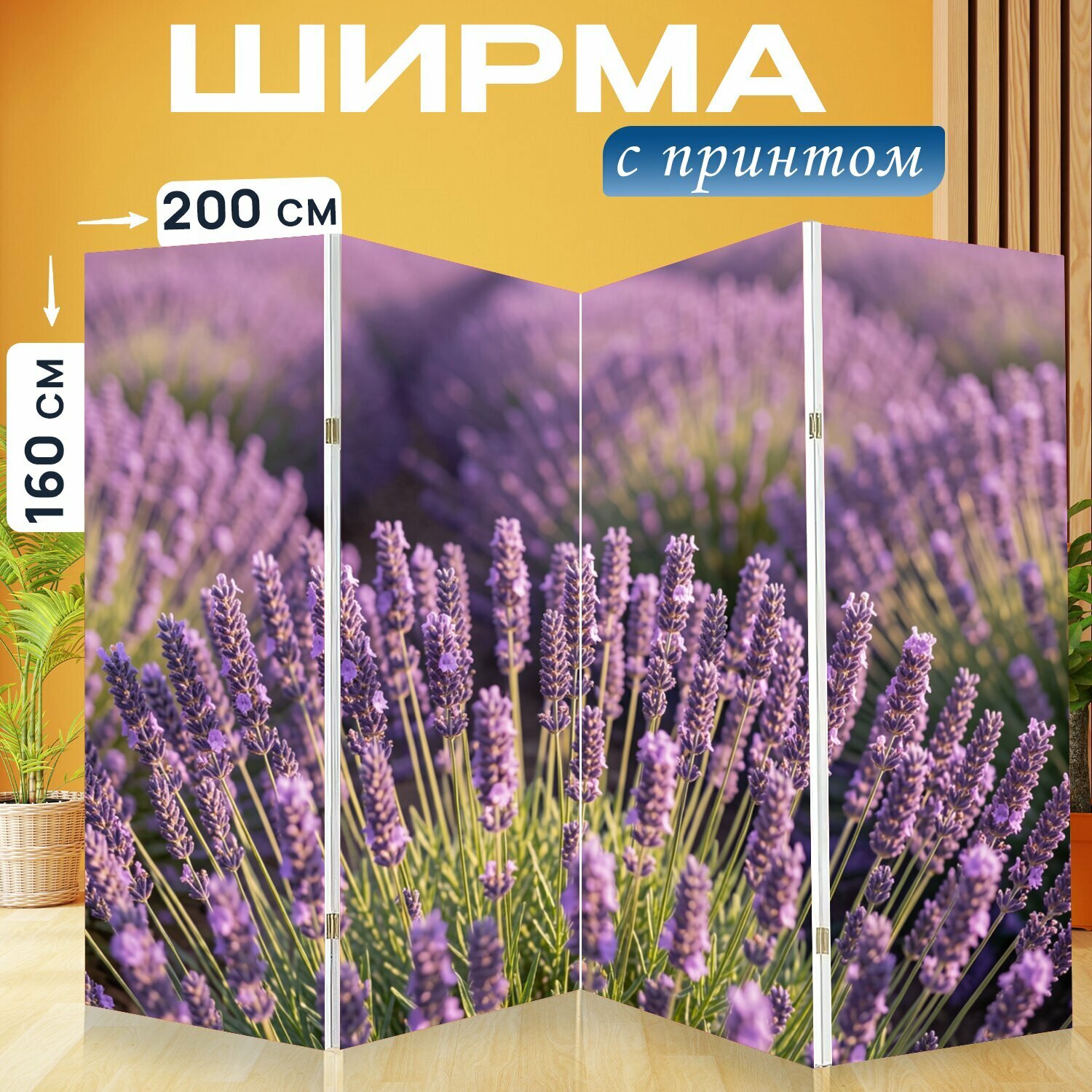 Ширма "Лавандовое поле в цветении. Пышные сиреневые соцветия в солнечном свете, мягкий размытый фон и глубокая." перегородка для зонирования комнаты с принтом 200x160 см. на холсте