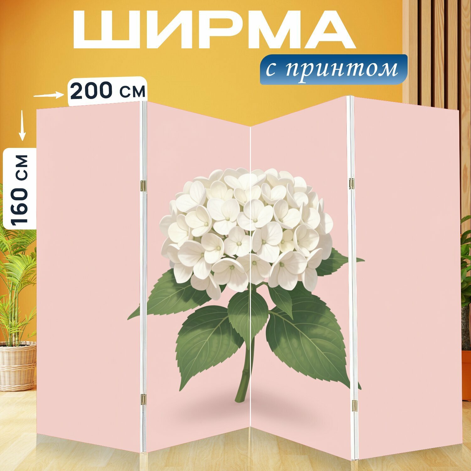 Ширма "Белая гортензия на розовом фоне. Нежный цветок с пышной шапкой светлых лепестков и зелёными листьями." перегородка для зонирования комнаты с принтом 200x160 см. на холсте
