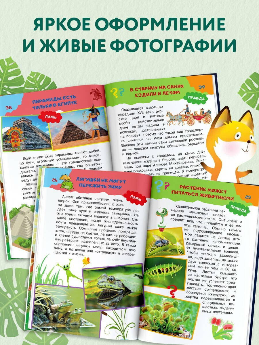 А правда, что. — фото 1