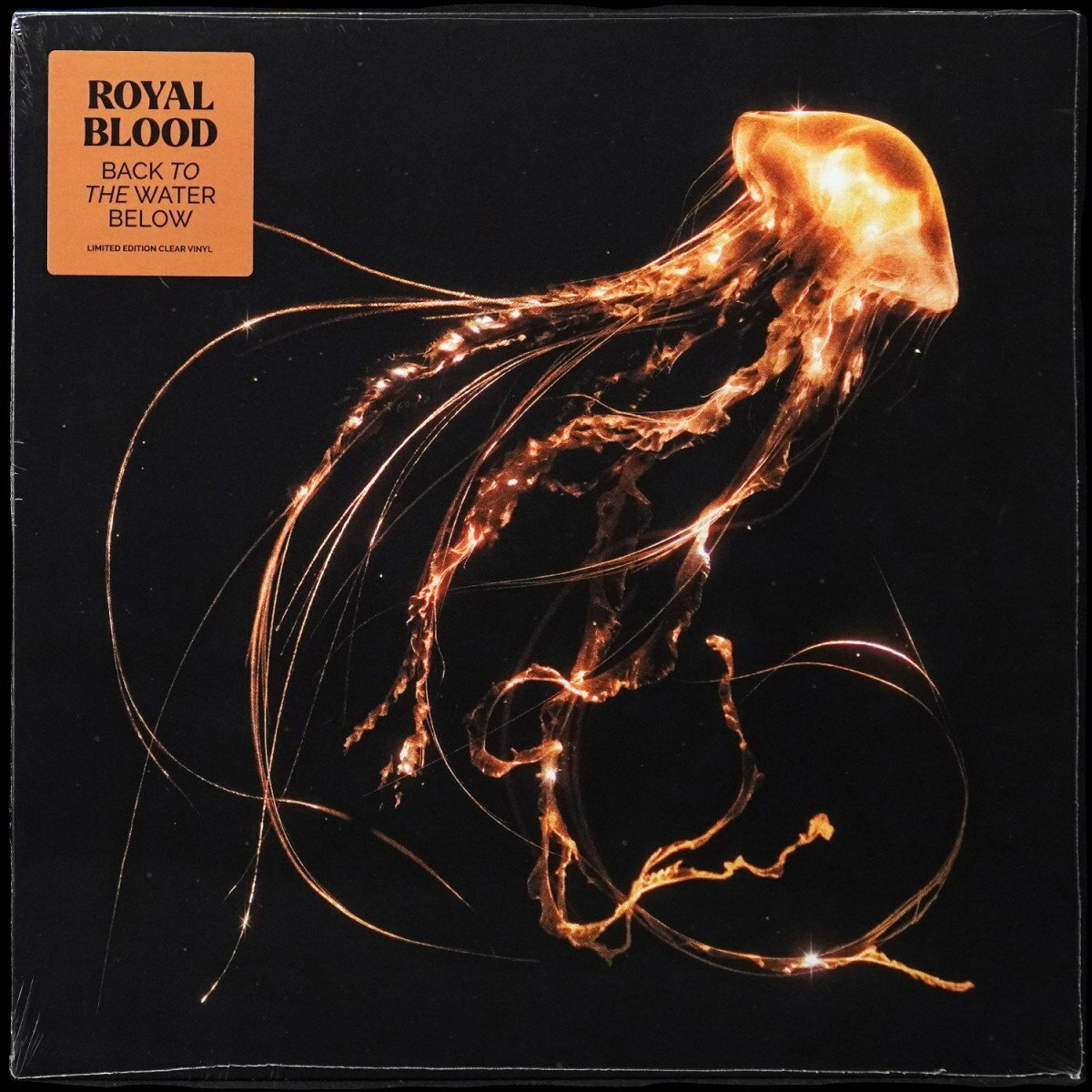 Виниловая пластинка Warner Royal Blood – Back To The Water Below (цветной винил)