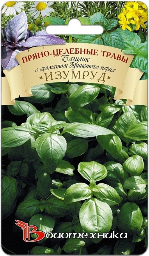 Семена базилика БиоТехника Изумруд, раннеспелый, светолюбивый, 0.5 г