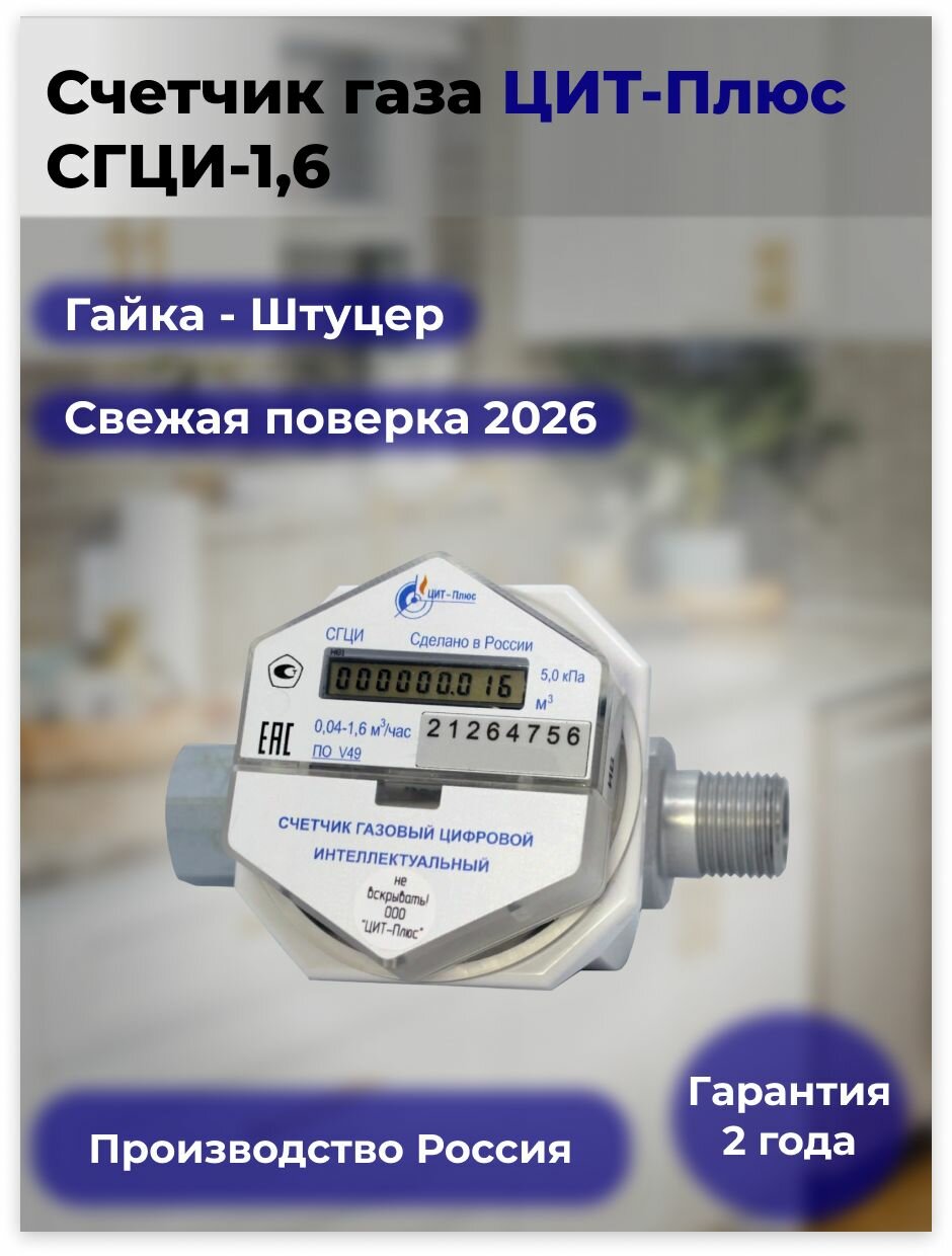 Счетчик газовый СГЦИ-1,6-15/Ш ябкю.407239.001-01 (Dn15, ГШ)