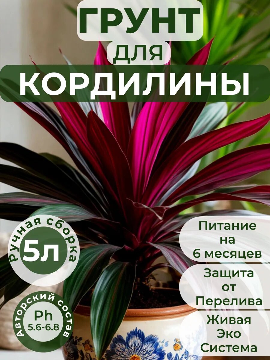 Готовый авторский грунт для Кордилины премиум 5 литров