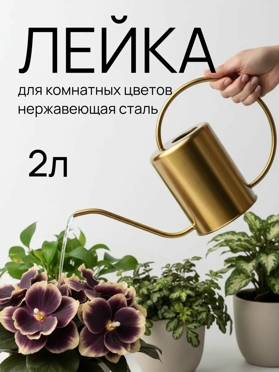 Лейка для цветов 2 л, без рассеивателя, нержавеющая сталь, белый