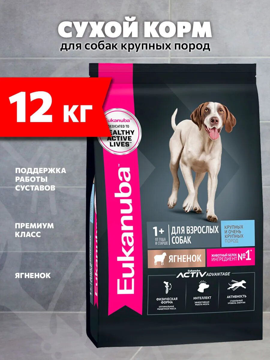 Корм сухой Eukanuba для взрослых собак крупных пород, ягненок, 12 кг