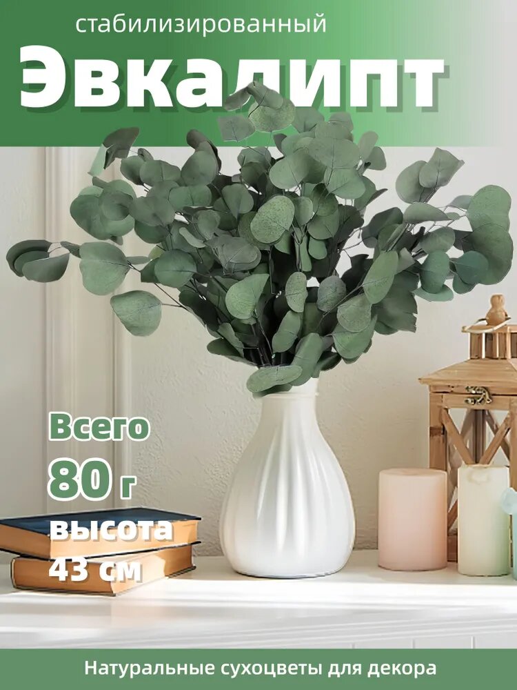 Сухоцветы Эвкалипт, 43 см, 140 гр, 1 шт