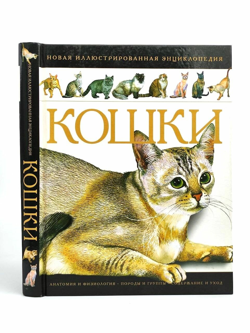 Кошки. Новая иллюстрированная энциклопедия