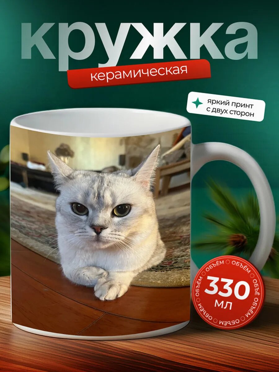 Кружка Британский серебристый кот 15,