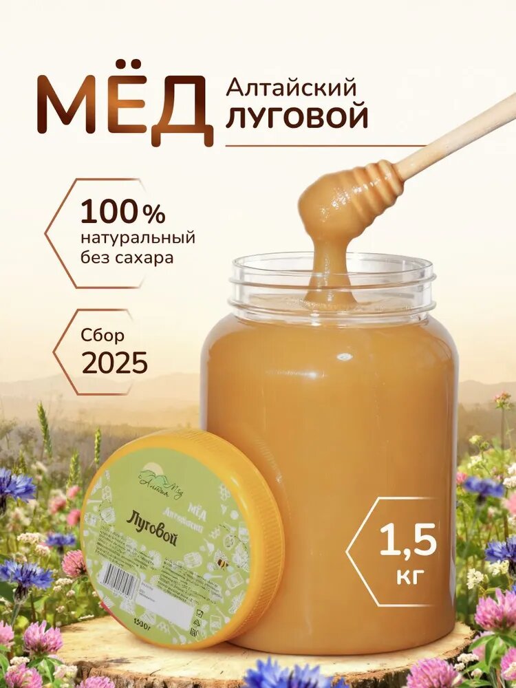 Мед натуральный Алтайский луговой 1,5 кг 2025 года
