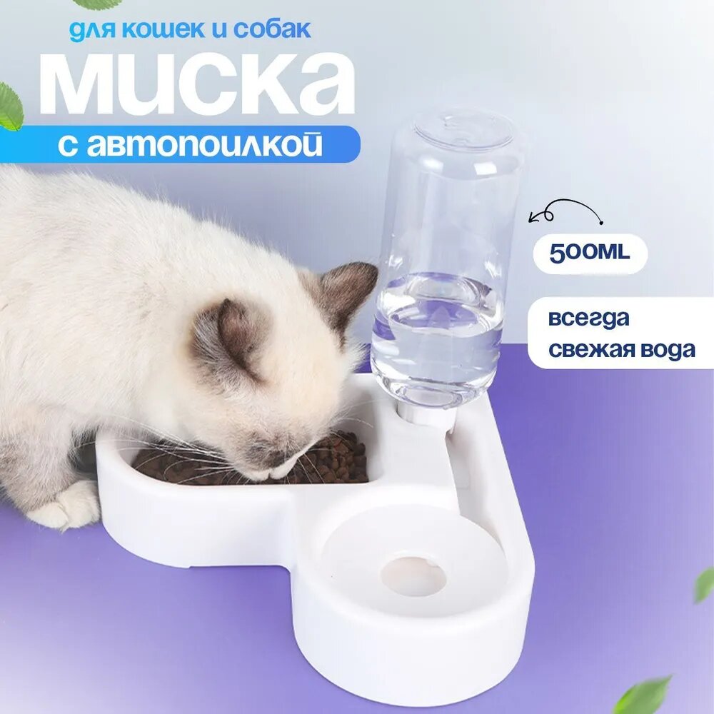 Миска для животных