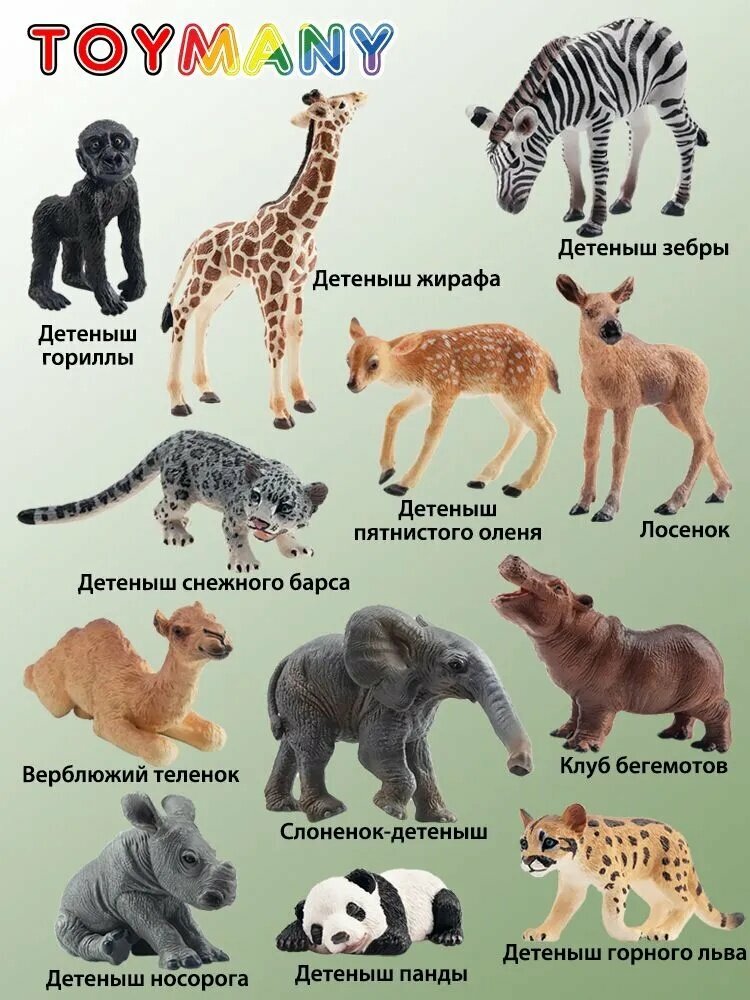 Toymany Набор фигурок диких животных, 12 шт, Мини-детеныши диких животных, Подарок для детей