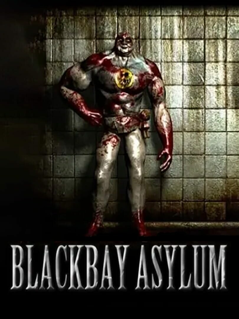 Blackbay Asylum [РФ] ключ/steam/ПК