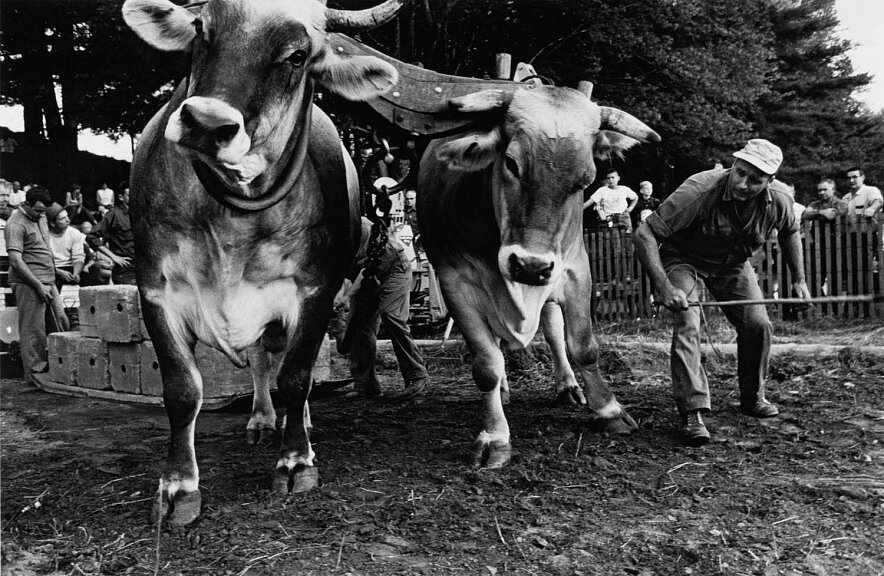 Lee Friedlander: Workers: The Human Clay — фото 1