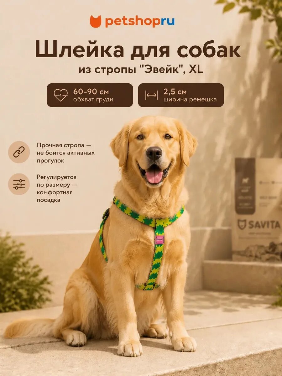 Шлейка из стропы "Эвэйк"