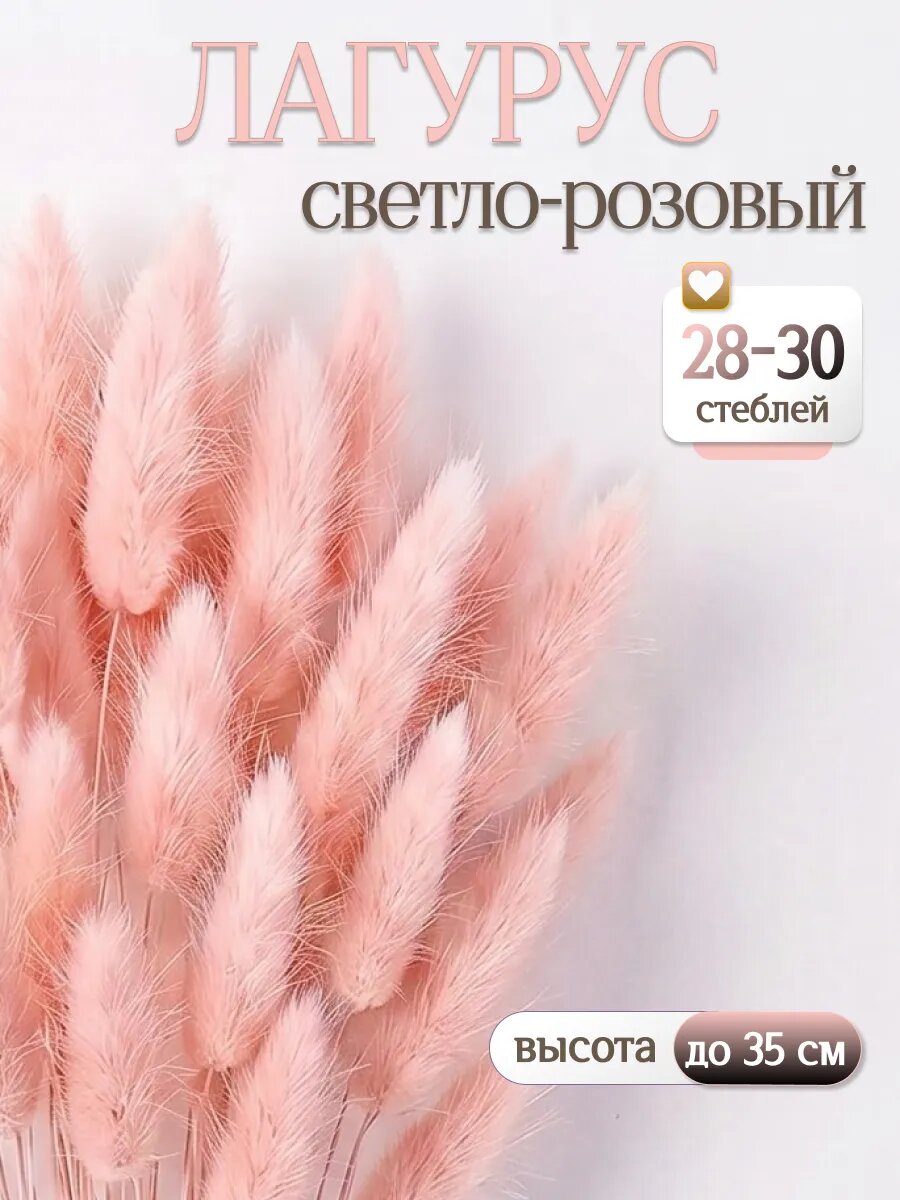 Лагурус светло-розовый 30 шт, сухоцветы для декора