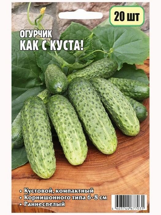 Огурец Как С Куста! 20 шт