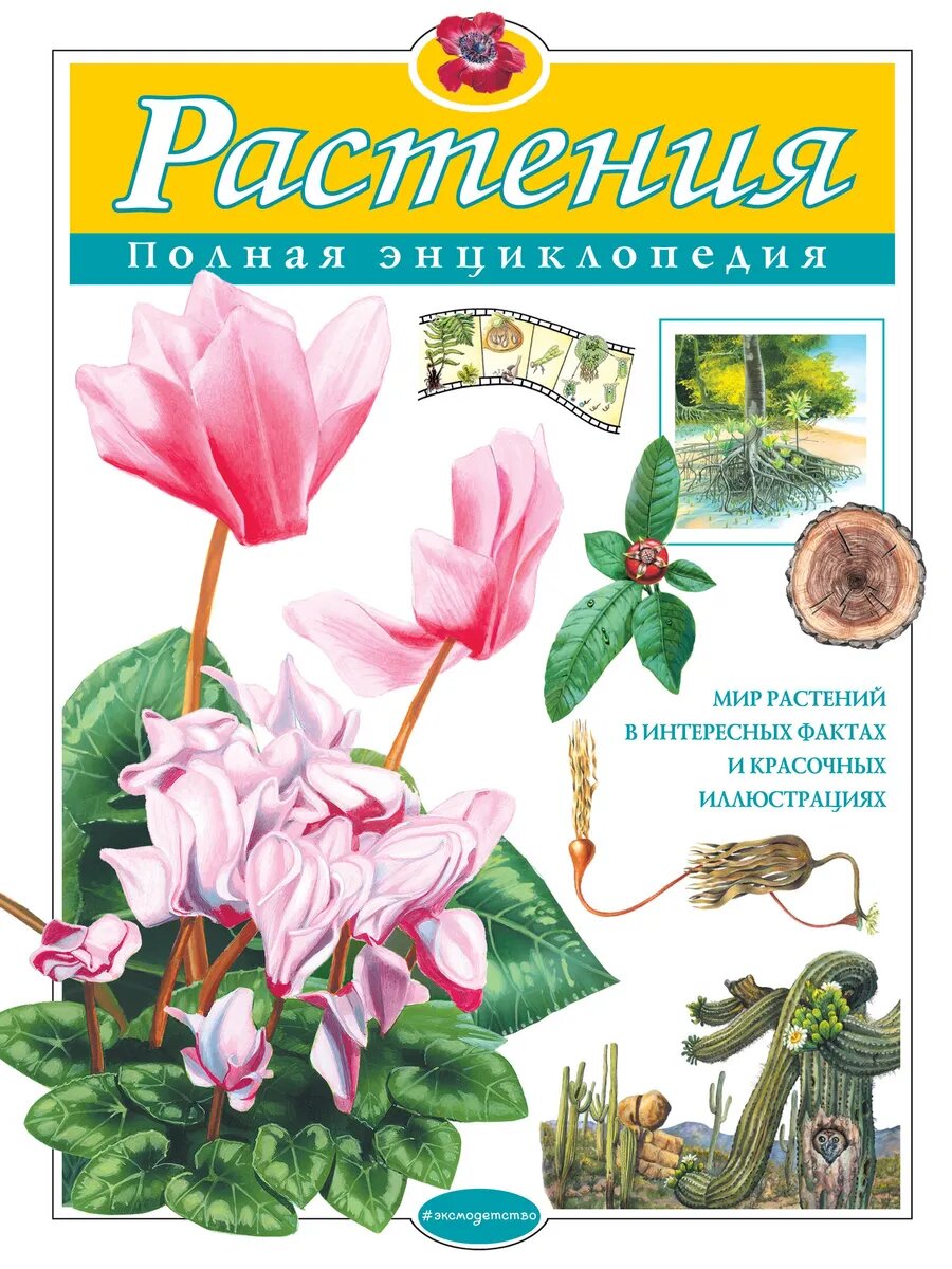 Растения. Полная энциклопедия: Мир растений в интересных фак