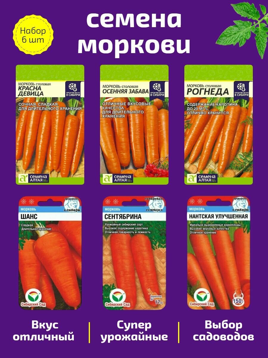 Морковь «Шанс», «Сентябрина», «Нантская Улучшенная», «Красна Девица», «Осенняя Забава», «Рогнеда». Набор семян 5 шт.