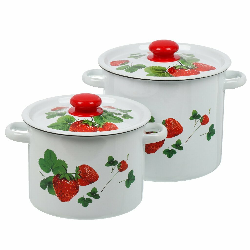 Набор посуды эмалированная сталь, 2 предмета, кастрюли 3.5, 5.5 л, индукция, Сибирские товары, Летняя ягода 20, N20B56