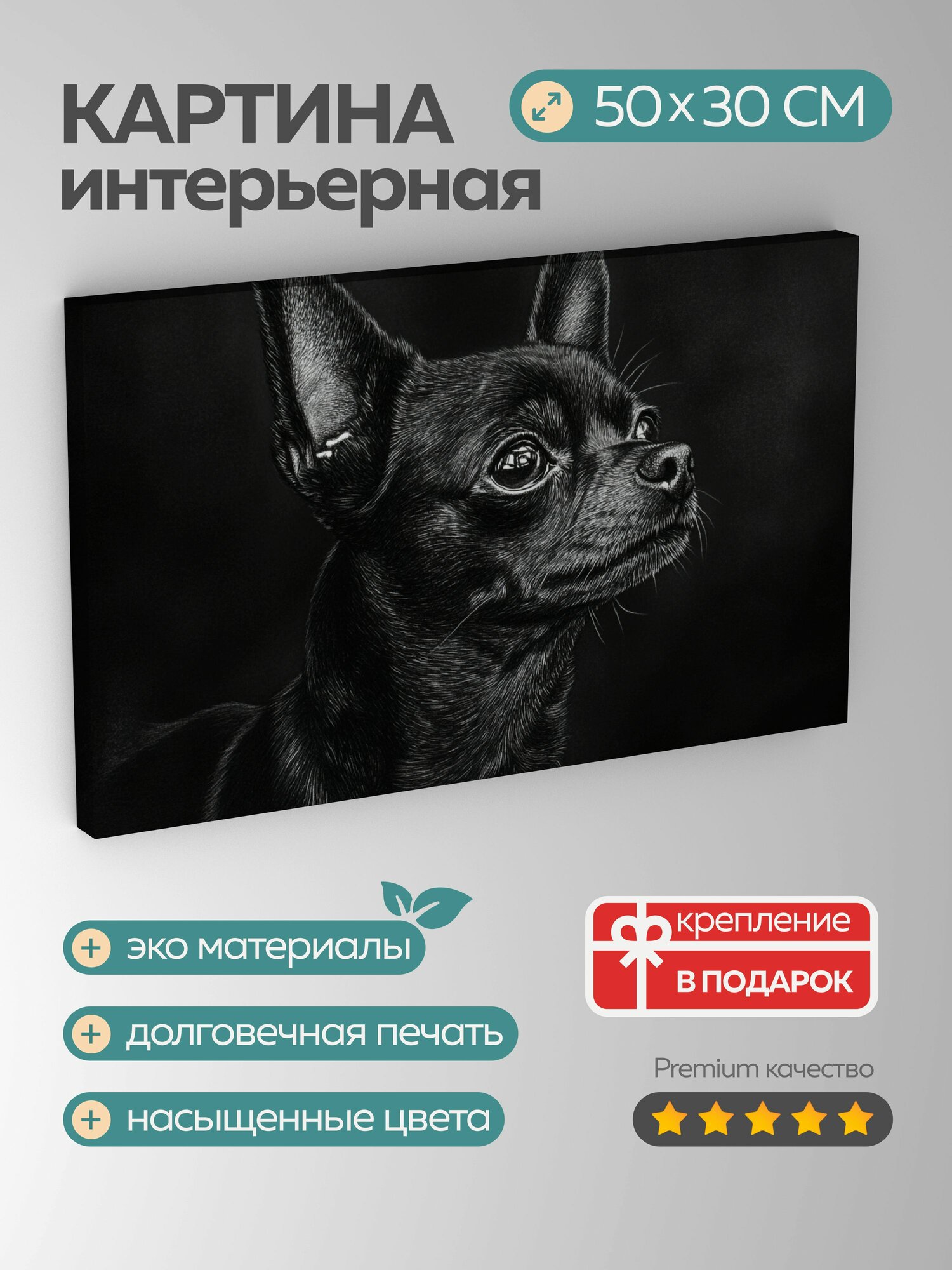 Картина на холсте интерьерная 50х30 см, Черный чихуахуа, уголь, детализированный, текстура шерсти, растушевка, шарм