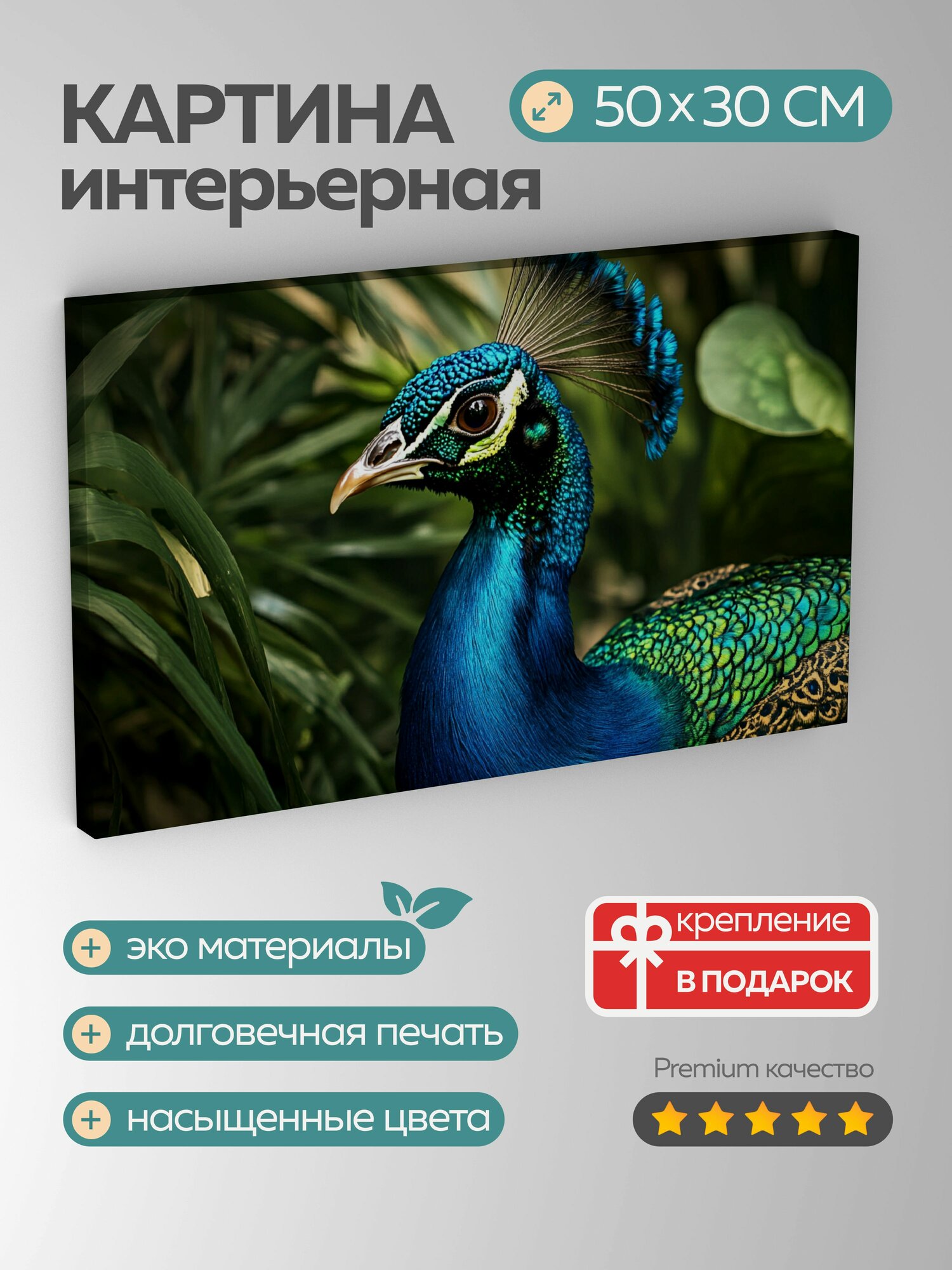 Картина на холсте интерьерная 50х30 см, павлин, оперение, узоры, цвета, перья, зеленая листва, мельчайшие детали
