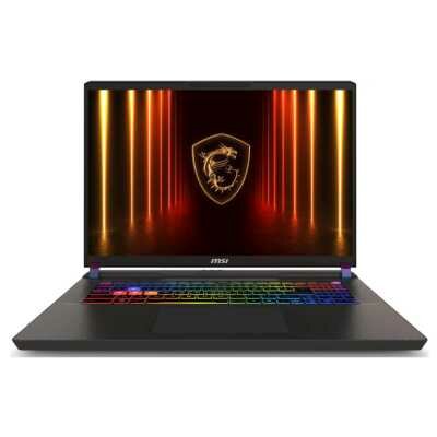 Ноутбук Vector 17 HX AI A2XWIG-063XRU Intel Core Ultra 9 275HX, 2.7 GHz - 5.4 GHz, 32768 Mb, 17" QHD+ 2560x1600, 1000 Gb SSD, nVidia GeForce RTX 5080 16 GB, DOS, серый, 3 кг, 9S7-17S372-063