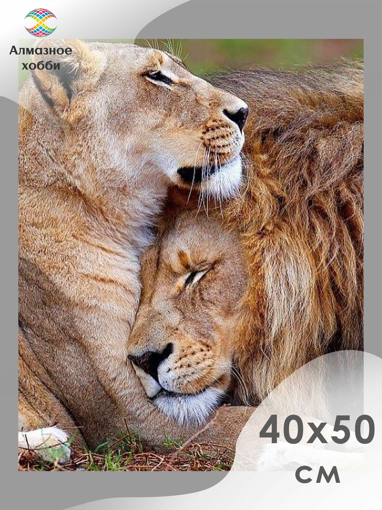 Алмазная мозаика Лев и львица на страже сна 40х50 без подрамника