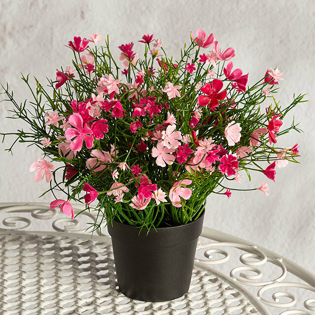 Искусственные цветы в горшке Флоксы нежно-розовые 23 см, Summer Deco, 5010069