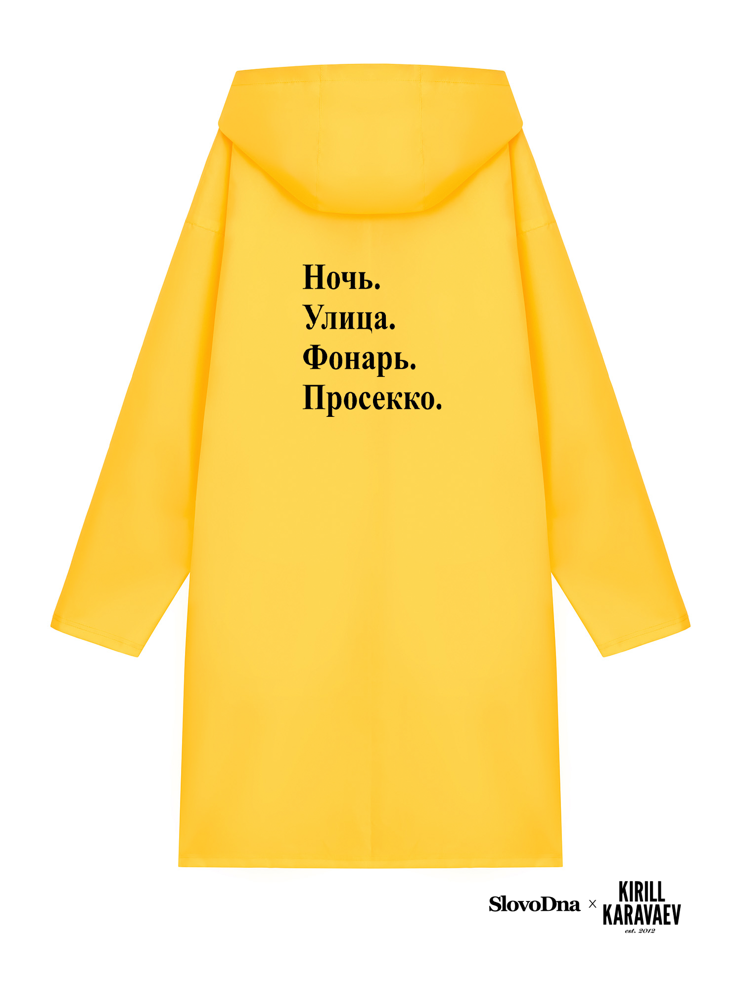 Плащ дождевик с капюшоном, принт - Ночь