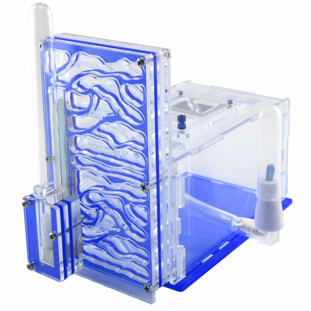 Муравьиная ферма, экологический замок-вилла-бокс, мастерская домашних муравьев, племенной дом, дворец королевства песчаных гнезд