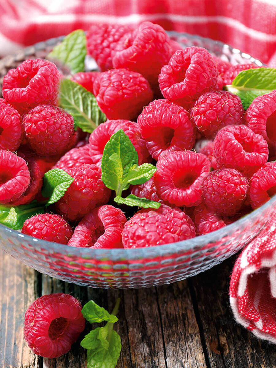 Малина ремонтантная Зюгана 1 шт / многолетний, морозостойкий сорт