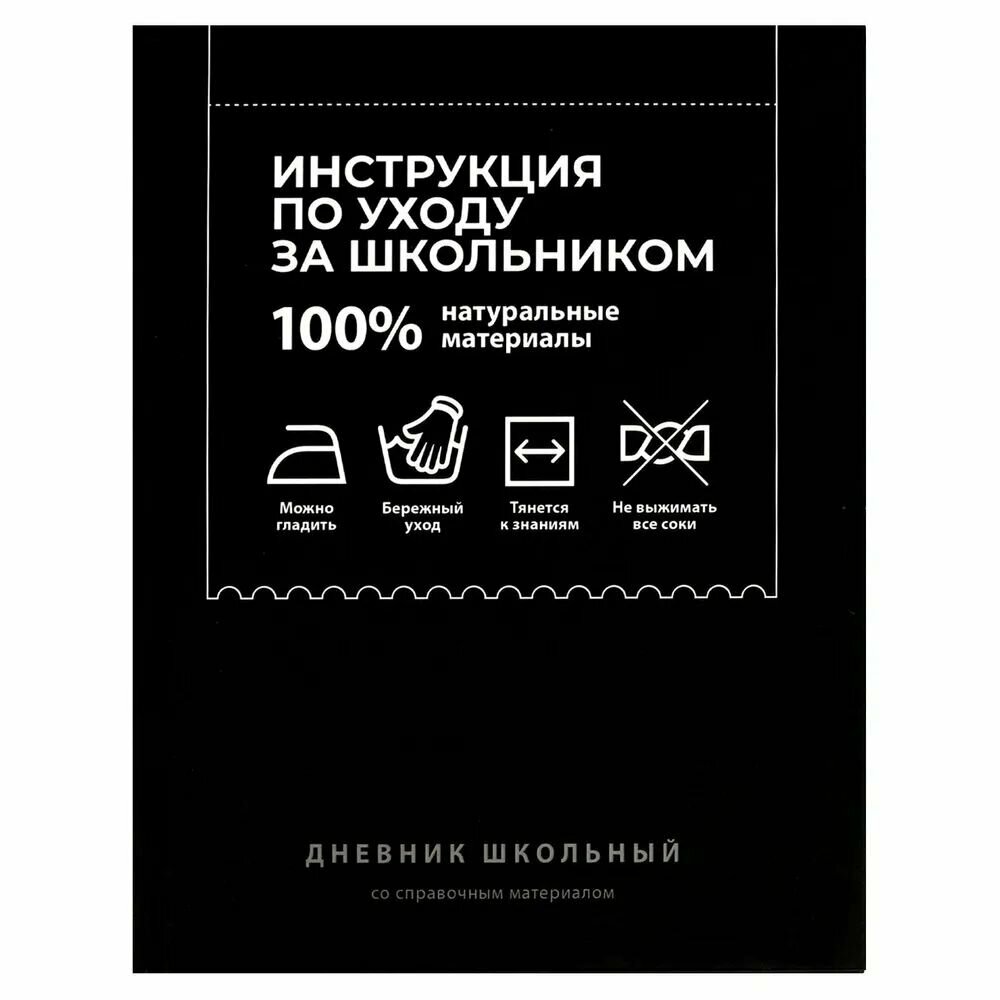 Дневник школьный 1 - 11 класс А5+ твердая обложка 48 л.