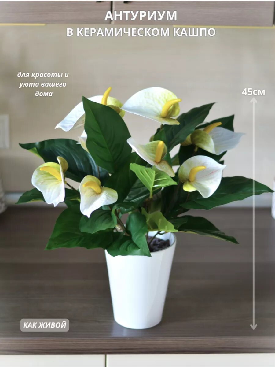Искусственный антуриум в кашпо