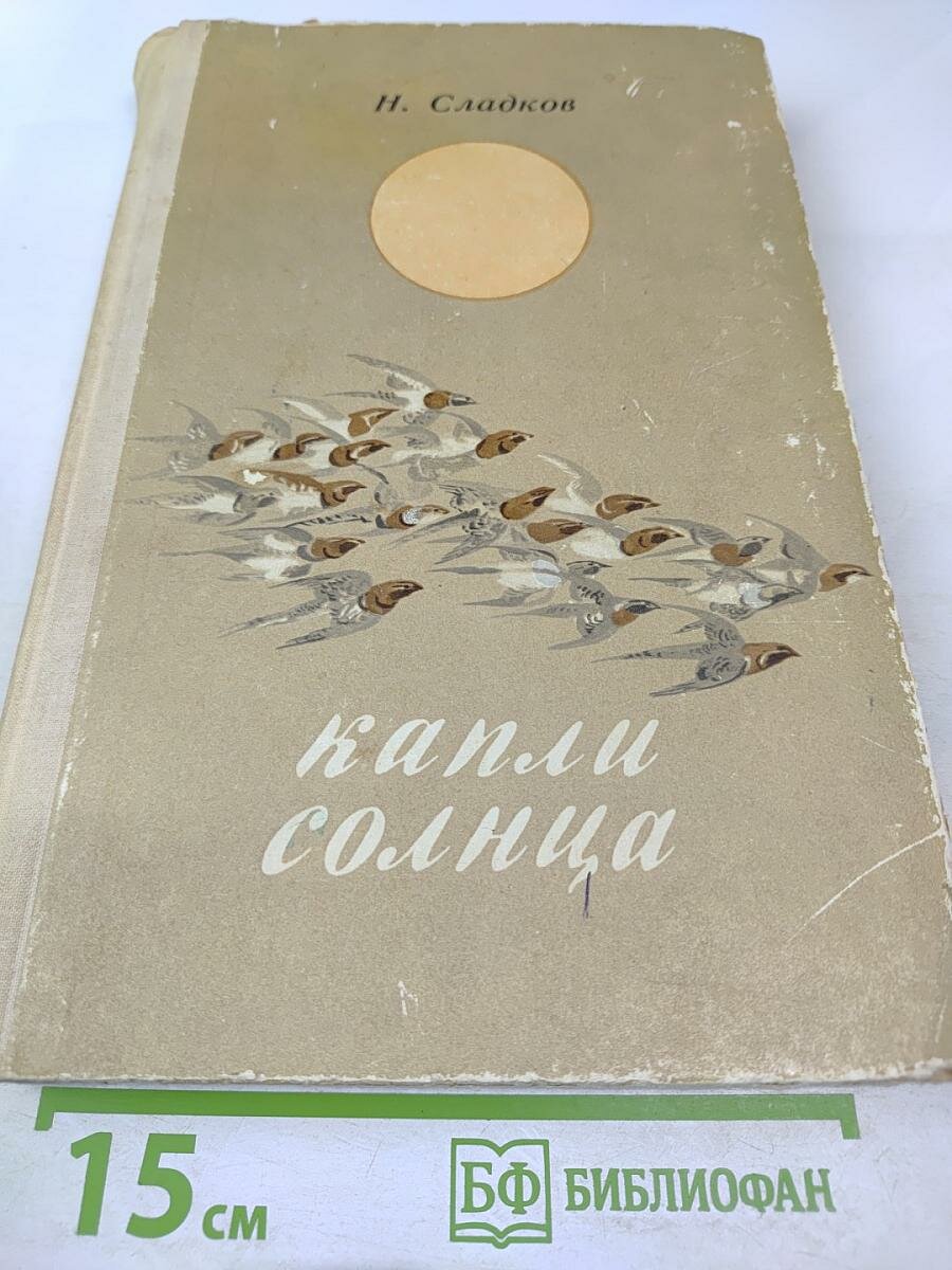 Капли солнца