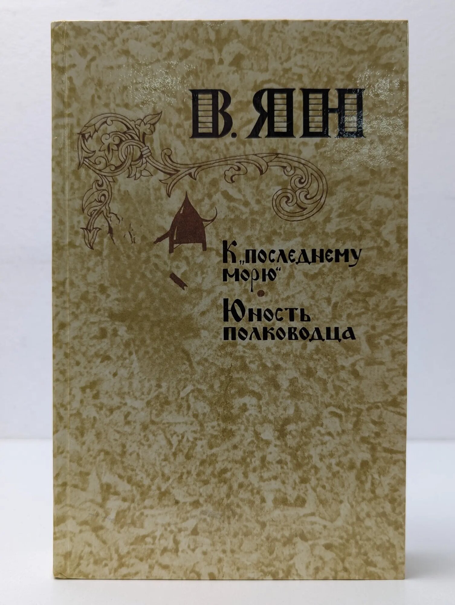 К последнему морю. Юность полководца Василий Ян Григорьевич 1981