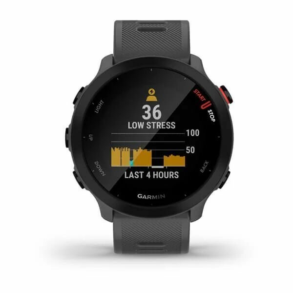 Часы Garmin FORERUNNER 55 серые — фото 1