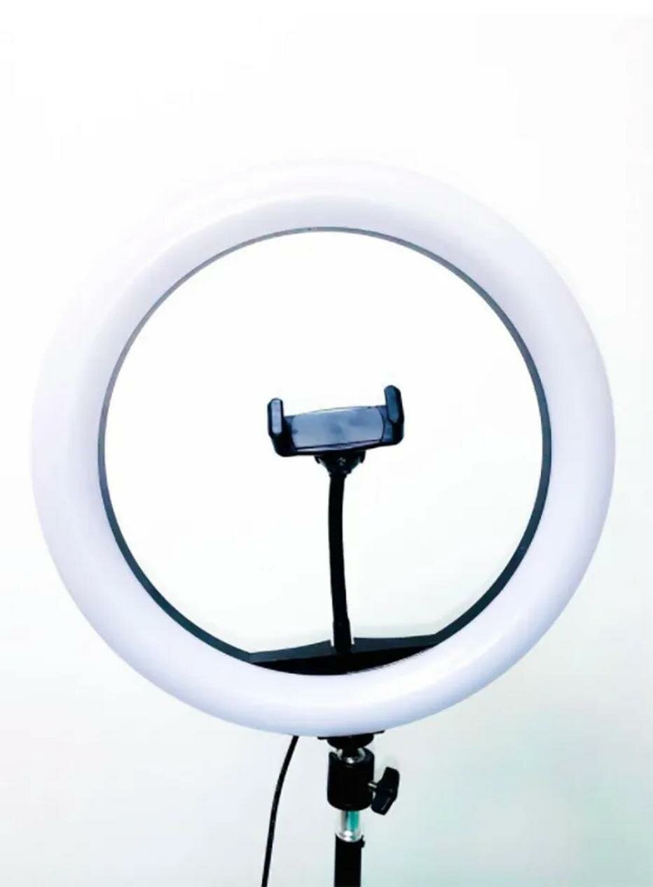 Кольцевая LED лампа 33 см со штативом 2м и пультом Bluetooth для телефона, черный
