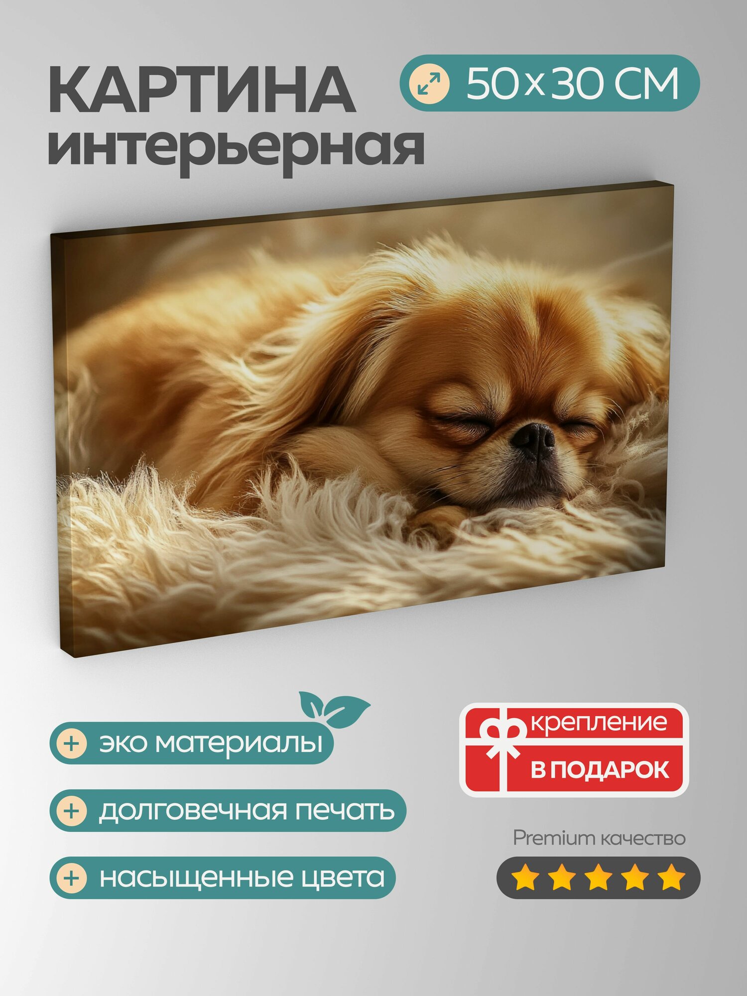 Картина на холсте интерьерная 50х30 см, собака, порода пекинес, лежит, коврик, пушистый, освещение, шерсть, тепло