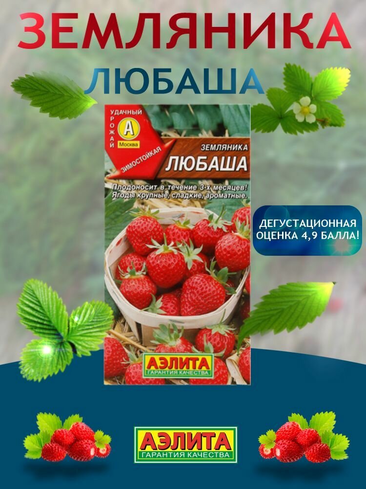 Семена земляники ремонтантной крупноплодной Любаша