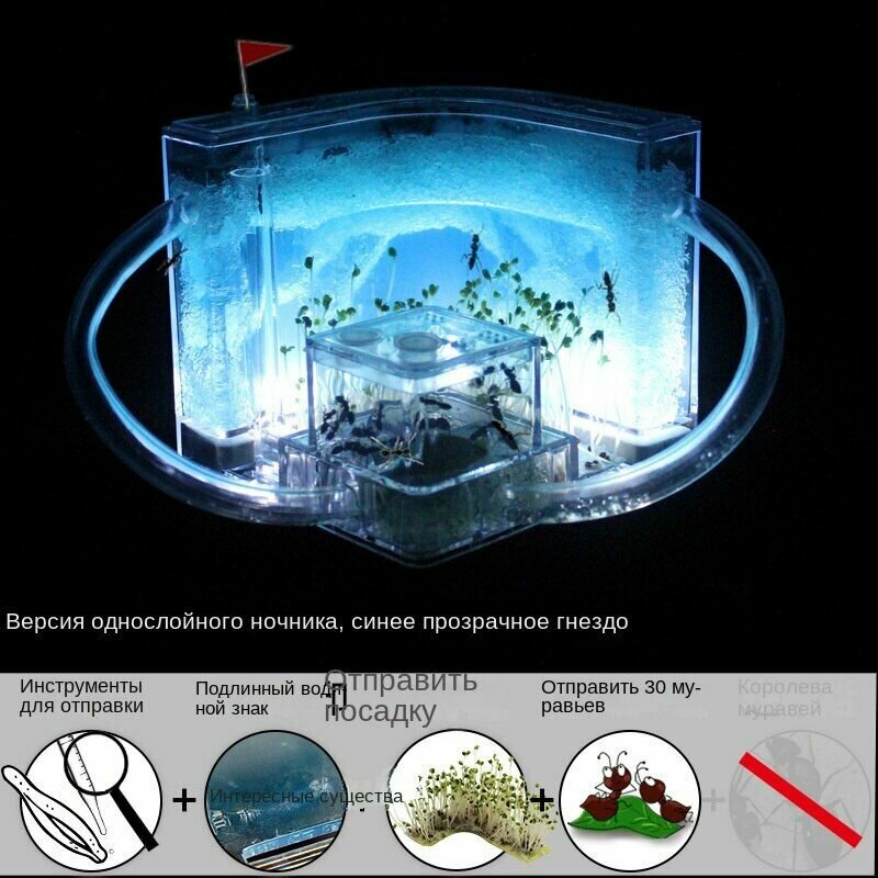 Муравьиная ферма + декор по системе "все включено -KP