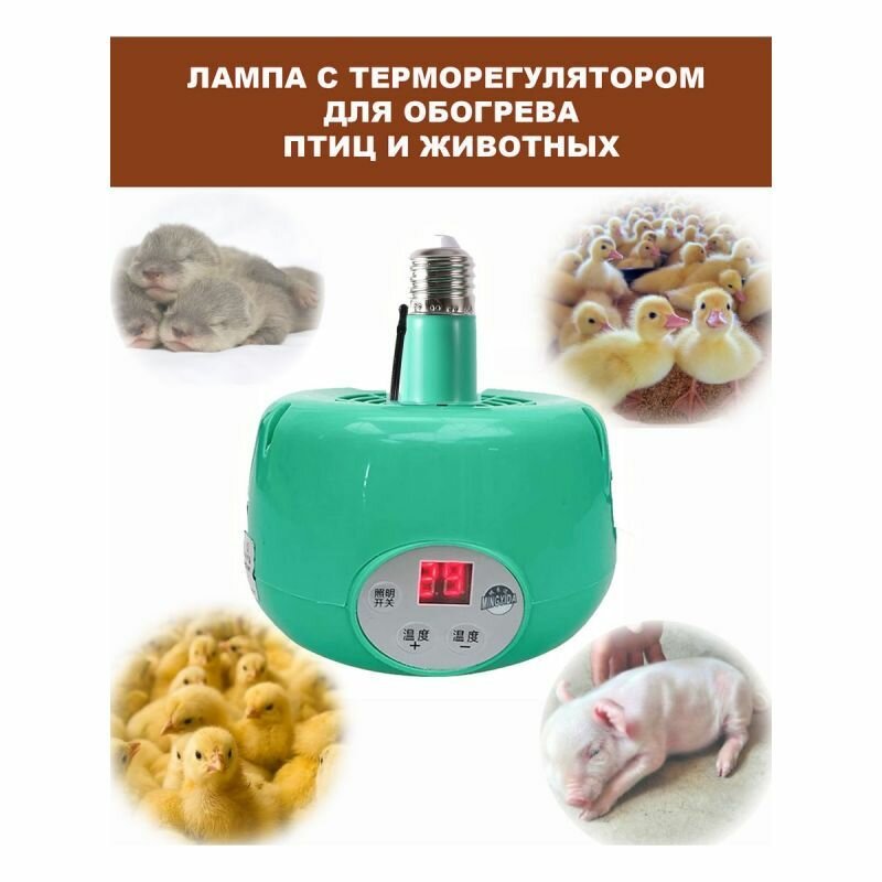 Лампа обогреватель для курятника, брудера с терморегулятором