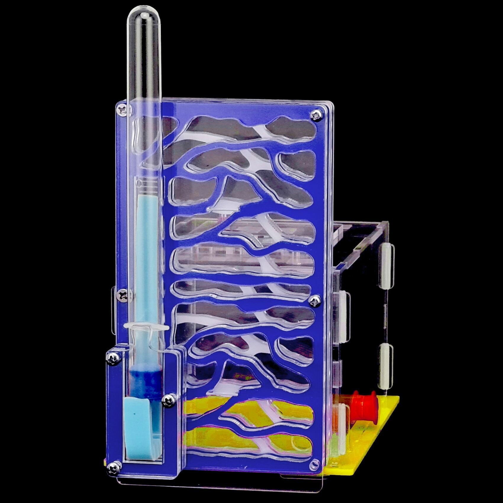 Муравьиная ферма (формикарий) AntFarmsNsk -KP