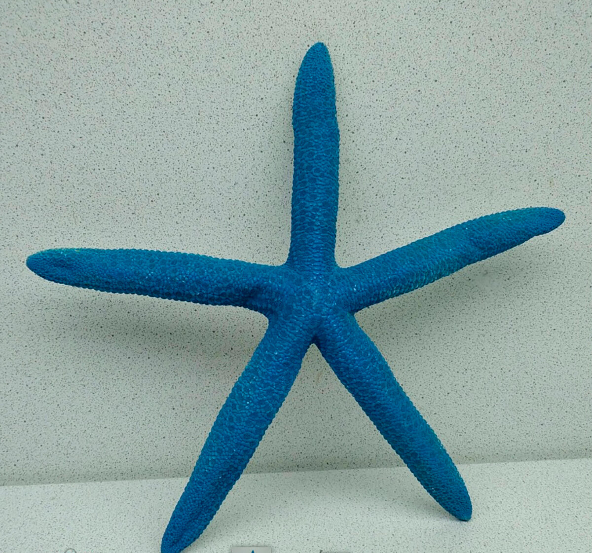 Звезда морская синяя от ГК Сфера, декоративная, 22см, для интерьера