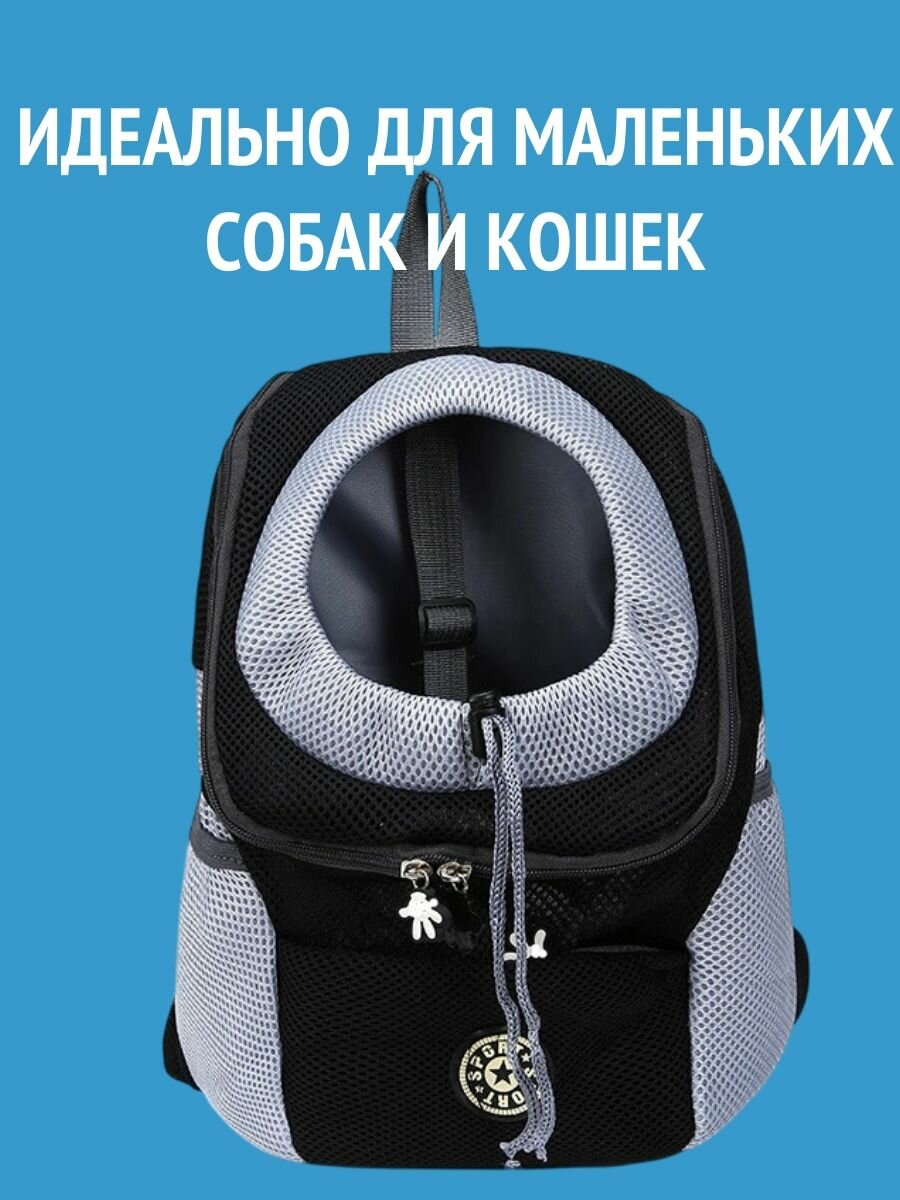 Переноска — фото 1