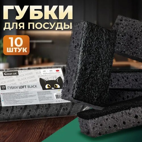 Губка